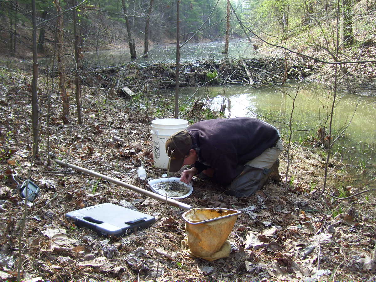 CONTACT US – Wetland Services