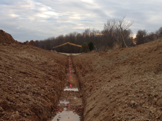 Gallery – Wetland Services