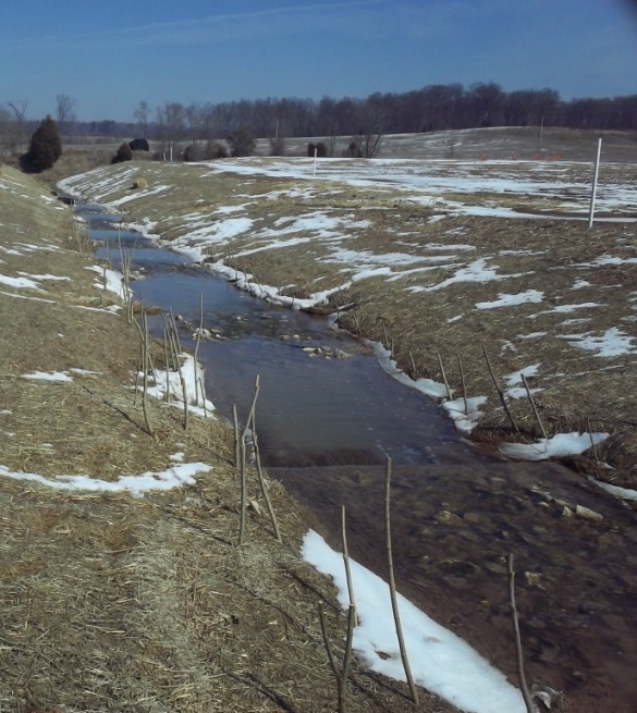 Gallery – Wetland Services