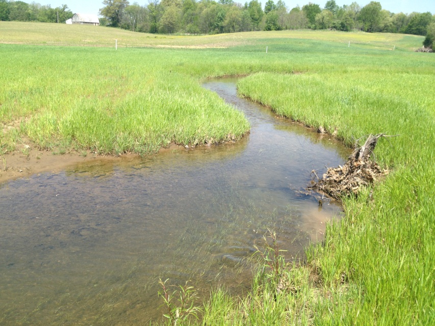 Gallery – Wetland Services